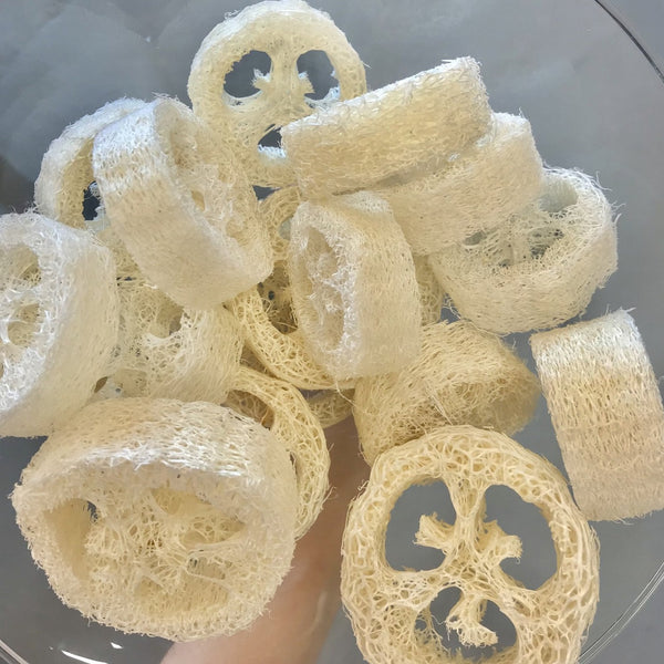Shes Sugar Raw Loofah Sponge - Iris Body and Beauty